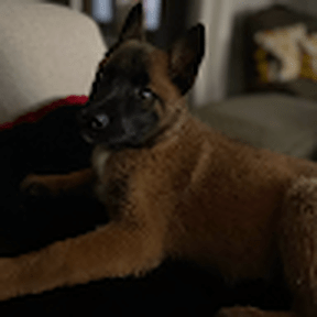 Phantom RP | Welcome