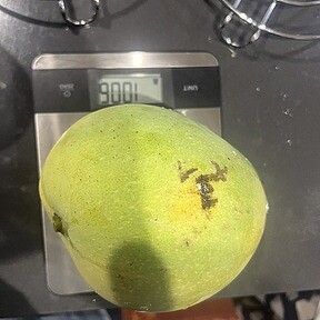 Codex Studios · Welcome