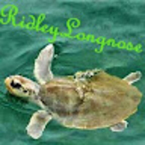 Noah-mapping · Vampire Script FiveM