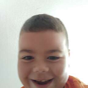 WX Scripts · Welcome