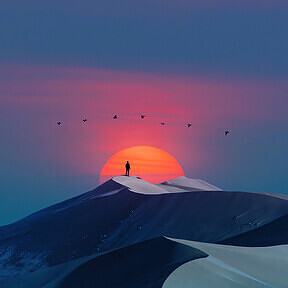 TinySprite Scripts · Free Assets