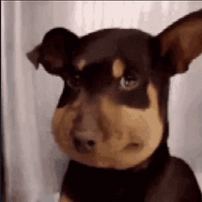 Nexus Dev. · Nexus Hud