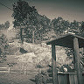 SHOCK'S SCRIPTS · [SHOCKS] QB ScriptClub