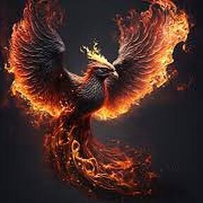 Andyyy | Free Scripts