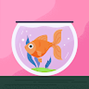 Salty Scripts | Packages