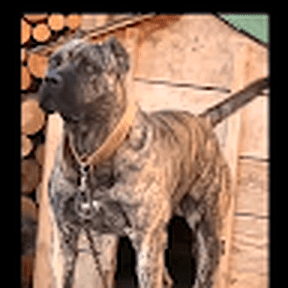 Miami Nights RP · Welcome